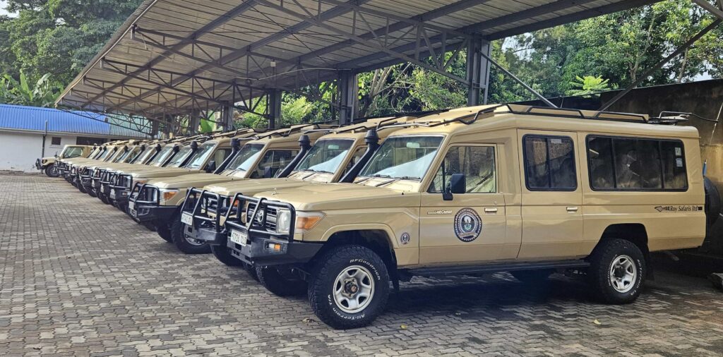 Roy Safaris | Top-Rated Tanzania Tour Operator Since 1989